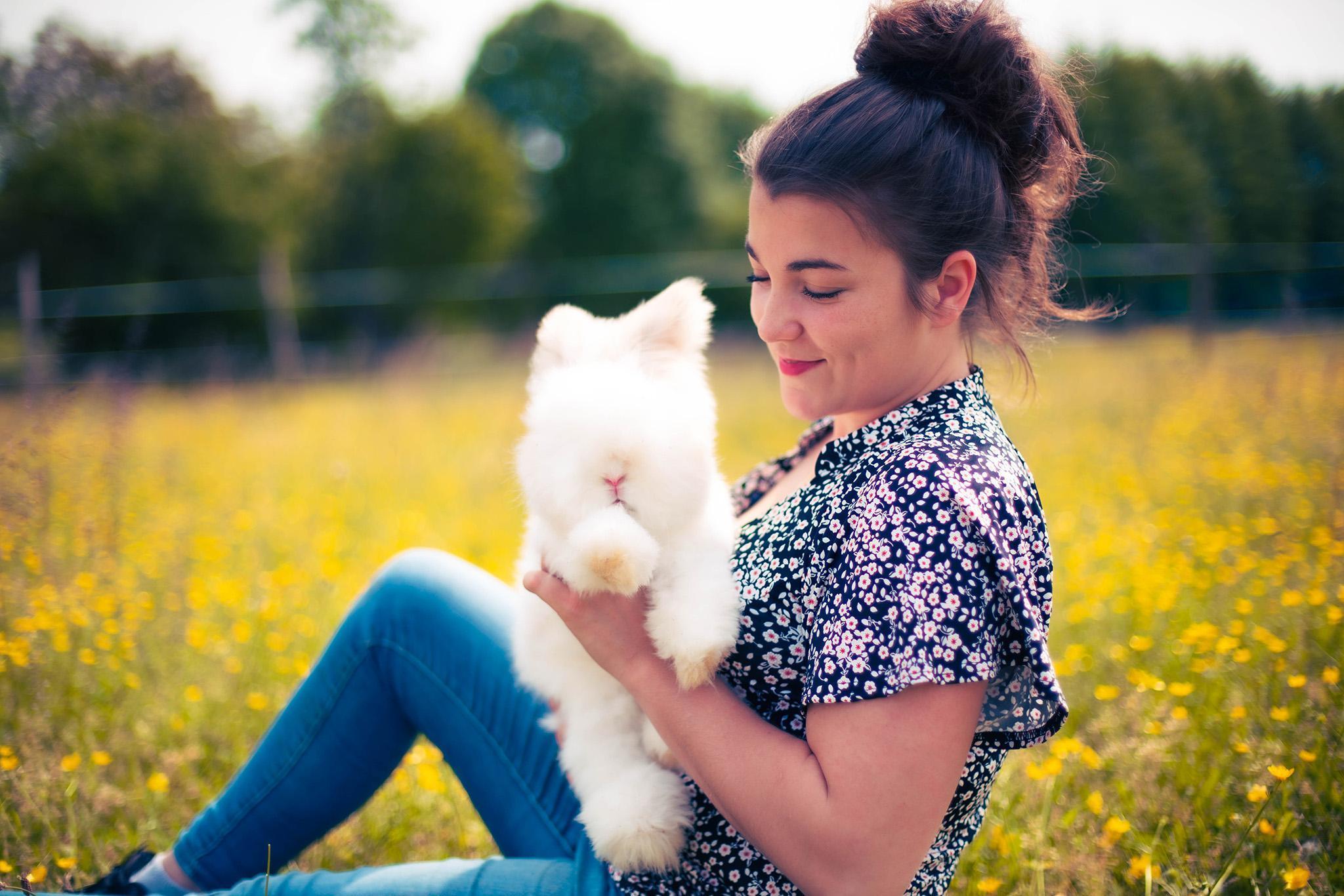 L'Élevage Lili Toon's - Les Lapins LILI TOON'S